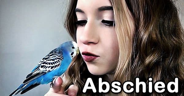 Abschied nehmen | Welli@Home